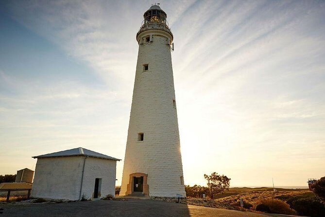 Rottnest Island Bayseeker Day Trip from Perth - The Sum Up