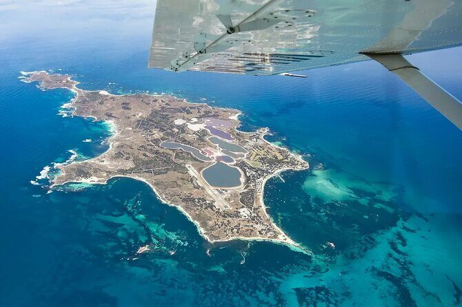 Rottnest Island Bayseeker Tour - Practical Tips for Booking and Enjoying the Tour
