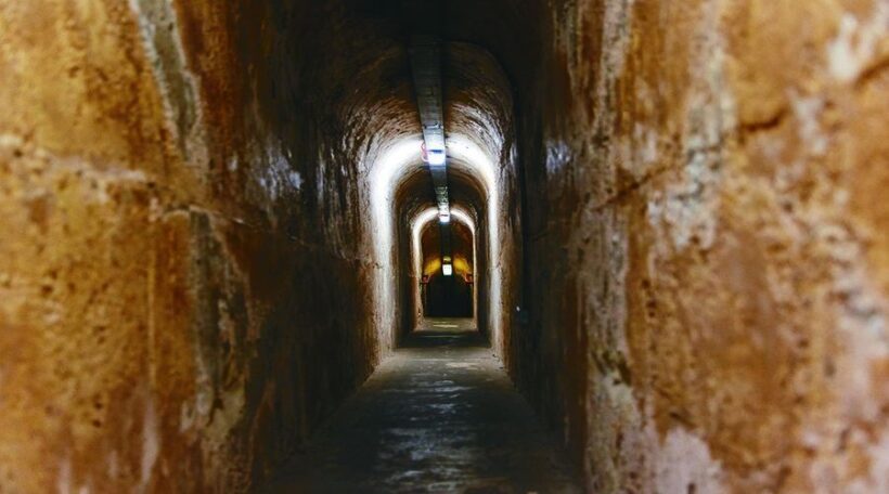 Rottnest Island: Grand Bus and Train Tour with Lunch - What the Tour Includes