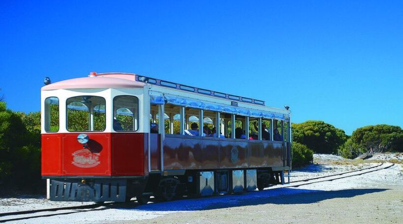 Rottnest Island: Grand Bus and Train Tour with Lunch - Who Would Love This Tour?