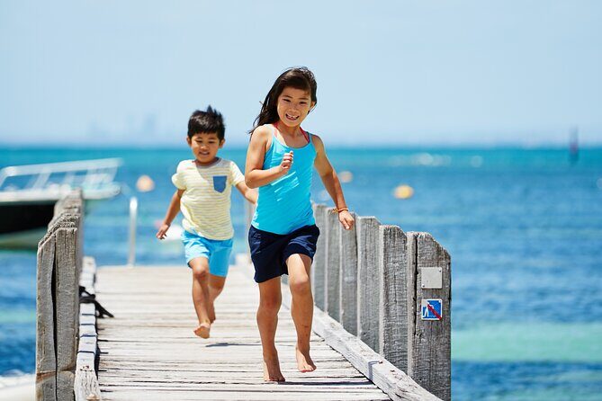 Rottnest Island Roundtrip Fast Ferry from Hillarys Boat Harbour - The Itinerary and What to Expect
