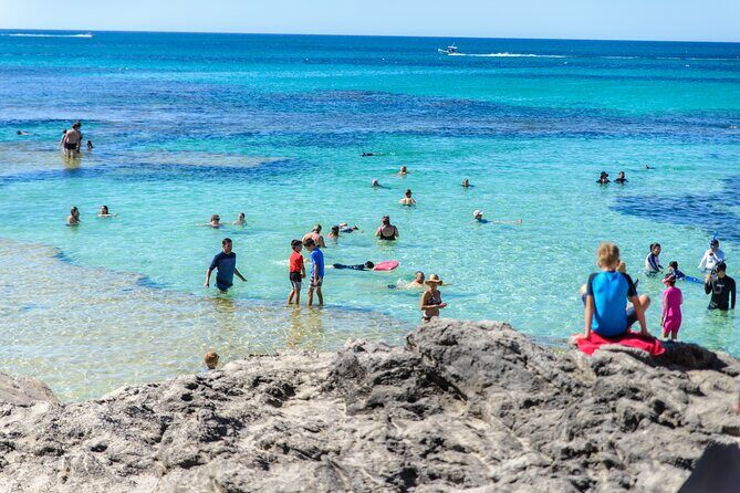 Rottnest Island Roundtrip Fast Ferry from Hillarys Boat Harbour - Who Should Consider This Tour?
