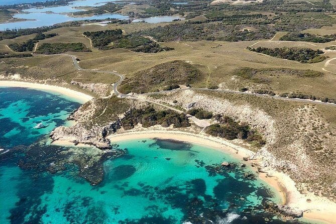 Rottnest Island Scenic Flight or 1/2 Day stopover - Who Should Book This Tour?