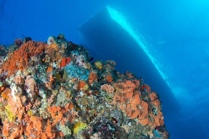 Rottnest Island scuba dive tour - A Detailed Look at the Rottnest Island Scuba Tour