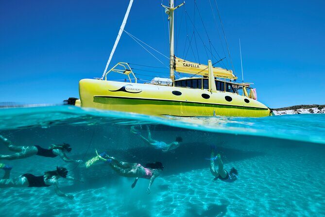 Rottnest Island 'Snorkel and Sail' - Who Should Consider This Tour?