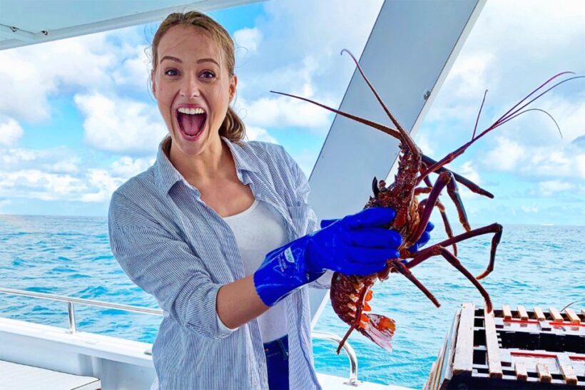 Rottnest: Luxe Island Seafood Cruise - Who Would Love This Tour?