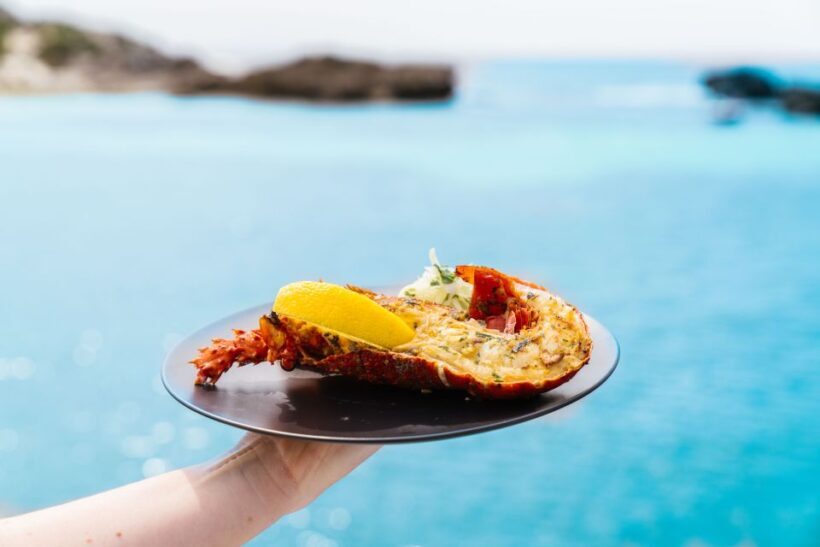 Rottnest: Luxe Island Seafood Cruise - Final Thoughts