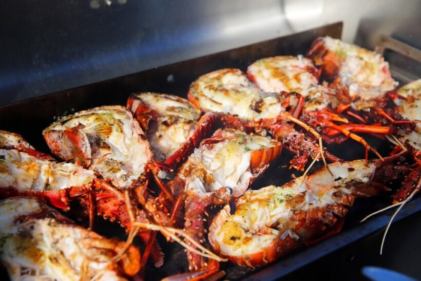Rottnest: Luxe Island Seafood Cruise - FAQ