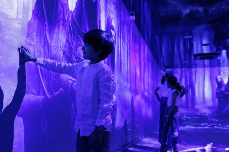 Rouen: Immersive Viking Experience - Since You Asked