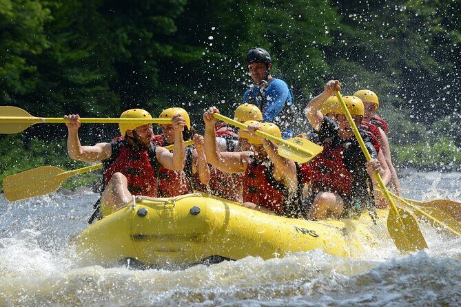 Rouge River Classic Whitewater Rafting Package - Who Will Love This?