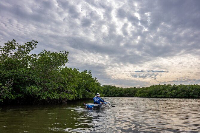 Round Island 2-Hour Glass Bottom Guided Kayak Eco Tour - What to expect from the wildlife sightings
