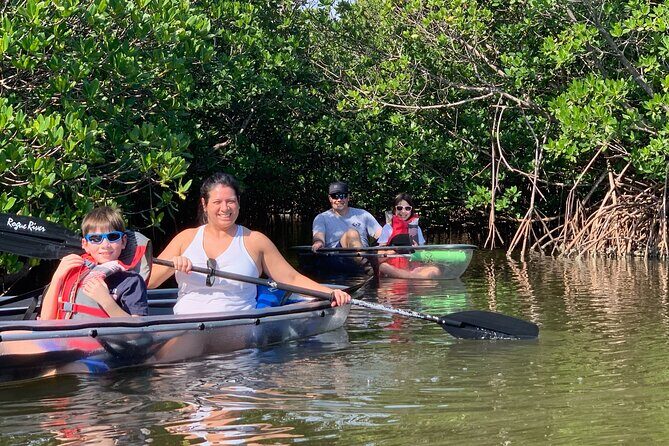 Round Island 2-Hour Glass Bottom Guided Kayak Eco Tour - The experience of paddling in clear kayaks
