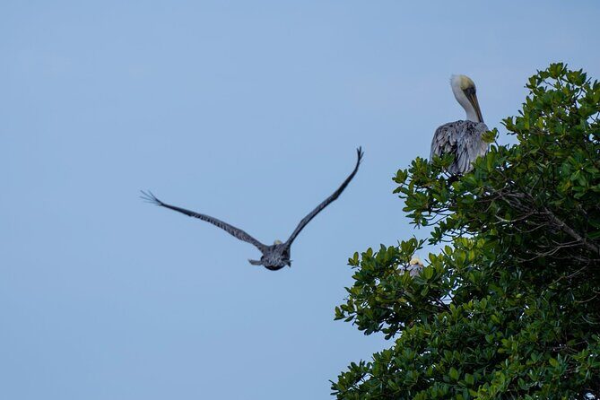 Round Island 2-Hour Glass Bottom Guided Kayak Eco Tour - Who is this tour best suited for?