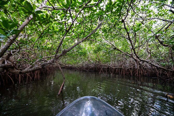Round Island 2-Hour Glass Bottom Guided Kayak Eco Tour - FAQ