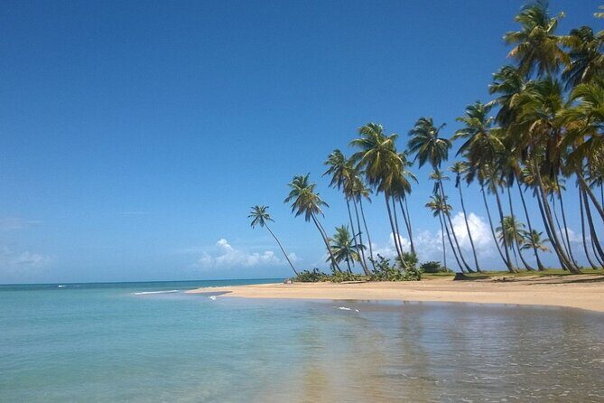 Round Mountain + Beach + Horse + Lunch - Considerations and Tips