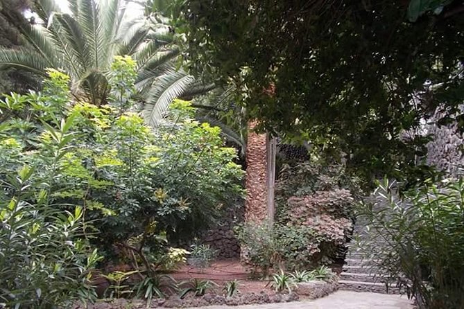 Round The Island Trip Without Teide VIP TOUR - Journey Comfort: Transportation and Group Details