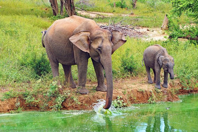 Round tour - 7days & 6nights - Transport and Comfort