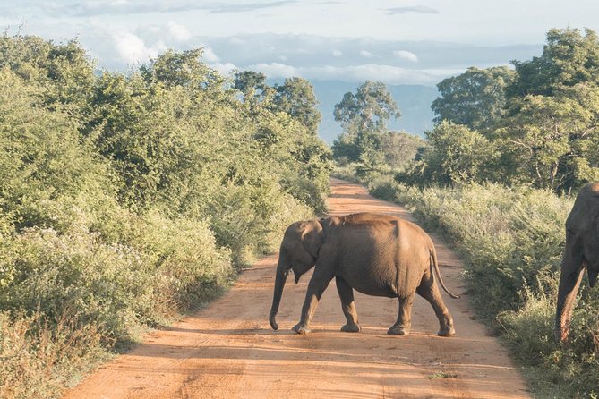 Round tour - 7days & 6nights - The Guide Experience: Why It Matters