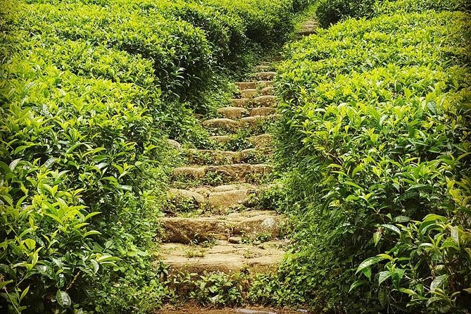 Round tour - 7days & 6nights - Pricing and Value