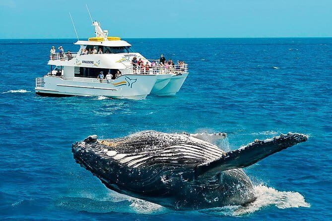 Round tour in Sri Lanka 11daysby Aaliya Tours-Hotels with H/B - Exploring the Itinerary: A Closer Look
