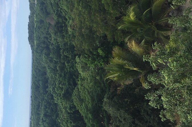 Round trip airport hotel transfer MBJ-Negril - FAQ – Practical Questions Answered