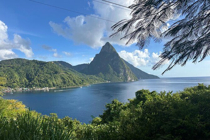 Round Trip Airport Transfers - The Meeting Points and Operating Hours