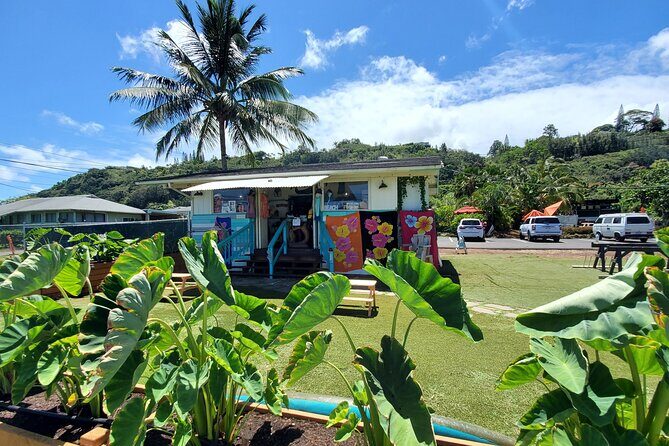 Round Trip North Shore Shuttle from Waikiki to Haleiwa Town / Haleiwa Harbor - The Sum Up
