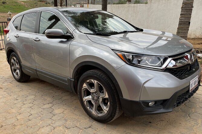 Round-trip Private Transportation in Valle - Why Choose This Private Valle de Guadalupe Tour?