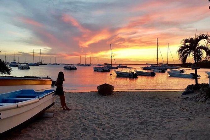 Round Trip Punta Cana Airport Shuttle - The Booking and Experience