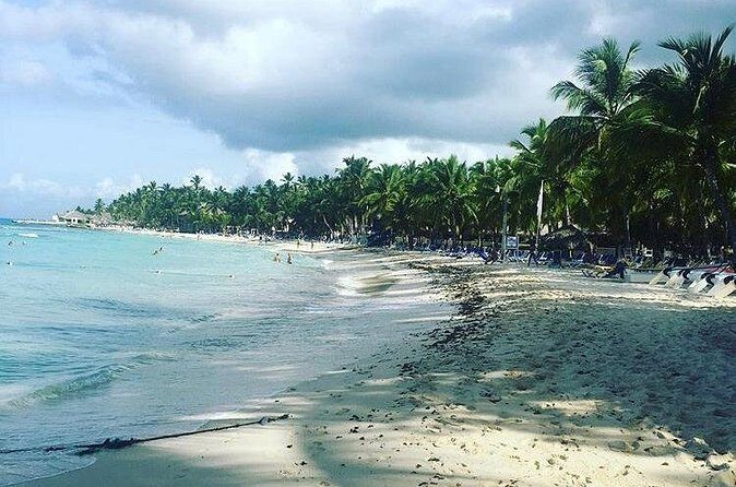 Round Trip Punta Cana Airport Shuttle - The Detailed Breakdown of the Experience