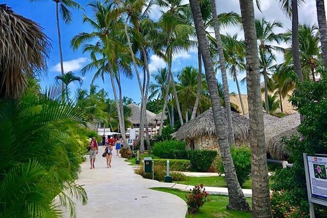 Round Trip Punta Cana Airport Shuttle - Authentic Experiences from Reviews