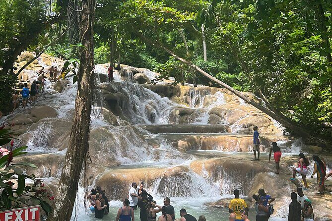 Round Trip Sangsters Montego Bay Airport to Ocho Rios transfers - Why Travelers Love This Service