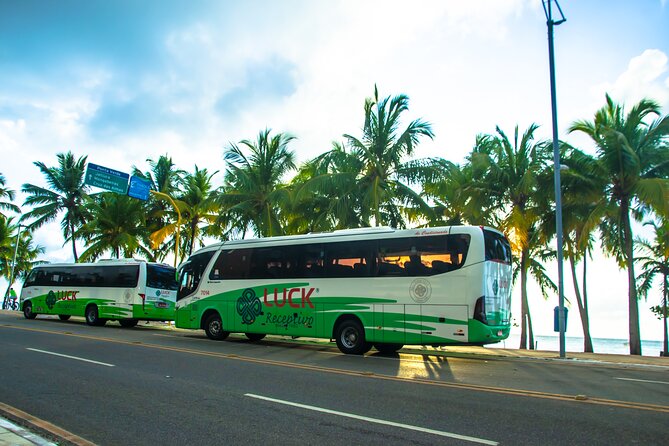 Round Trip Transfer Between Airport and Hotels in Maceió - Pricing and Booking Information