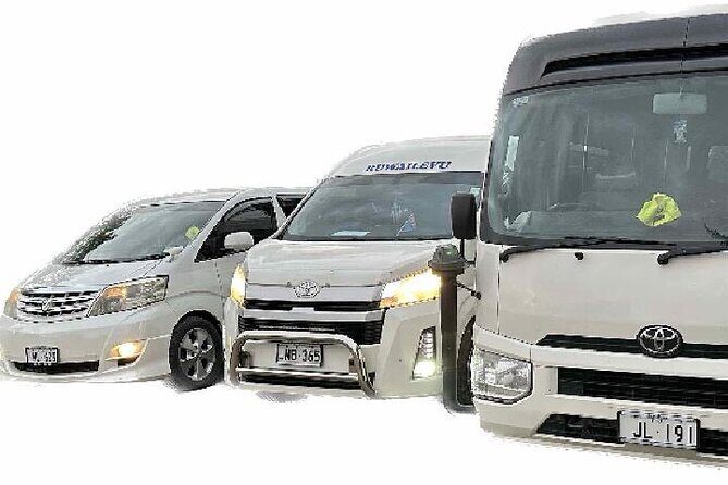 Round Trip Transfer-Nadi Airport to Denarau Island Resorts - Why This Transfer Service Offers Good Value