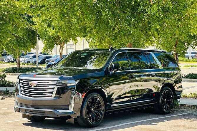 ROUNDTRIP Bavaro/Punta Cana AREA - PUJ Airport - LUXURY SERVICE - An In-Depth Look at the Service Experience