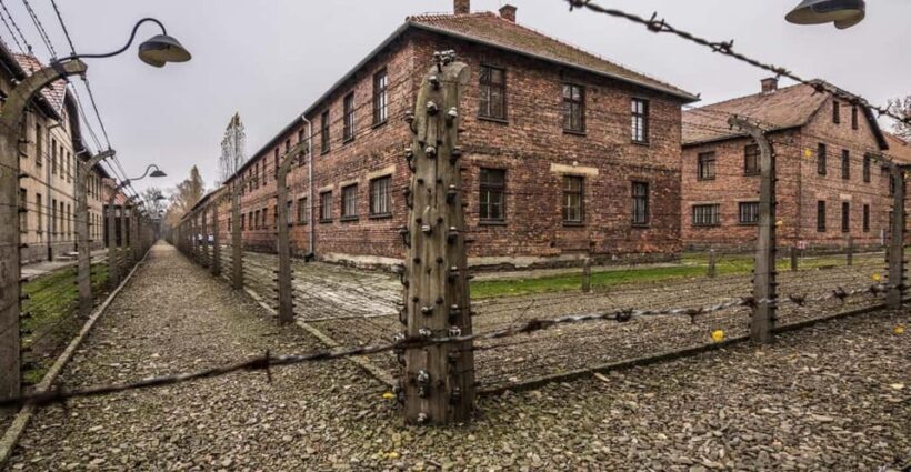 RoundTrip from Krakow to Auschwitz + Entrance Tickets - Who Should Consider This Tour?