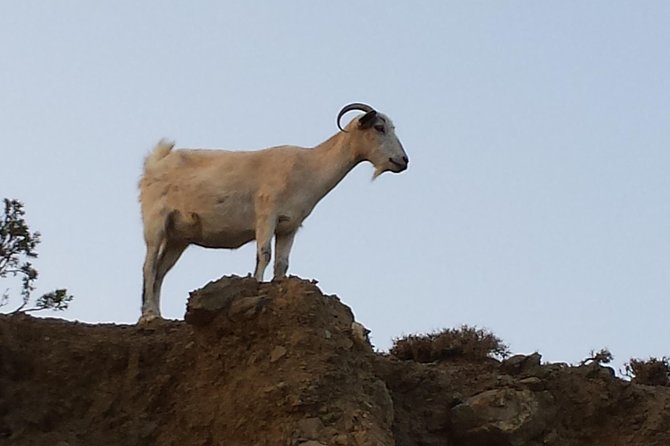 Roundtrip Minivan Transfer to Therma Natural Spa Beach - Final Thoughts