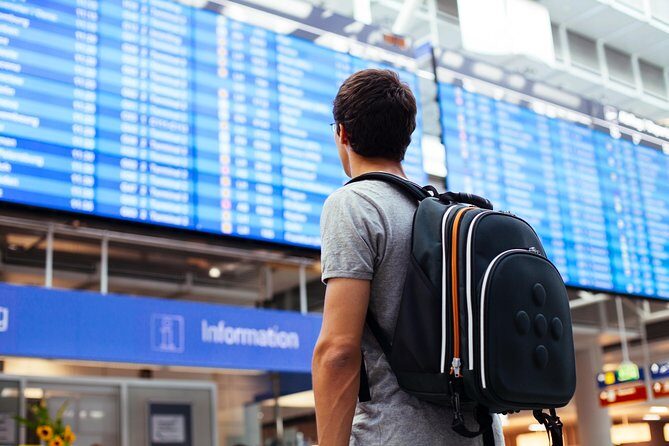 Roundtrip Private Airport Transfer Los Angeles (LAX) to City - What to Expect from the Transfer