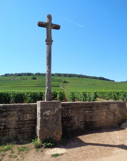 "Route des grands crus", private wine tasting in Burgundy ! - What’s Unique About This Tour?