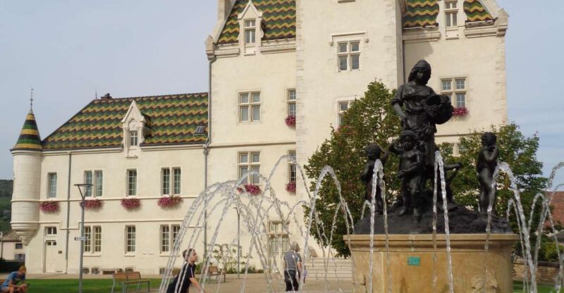 "Route des grands crus", private wine tasting in Burgundy ! - Who Will Enjoy This Tour?