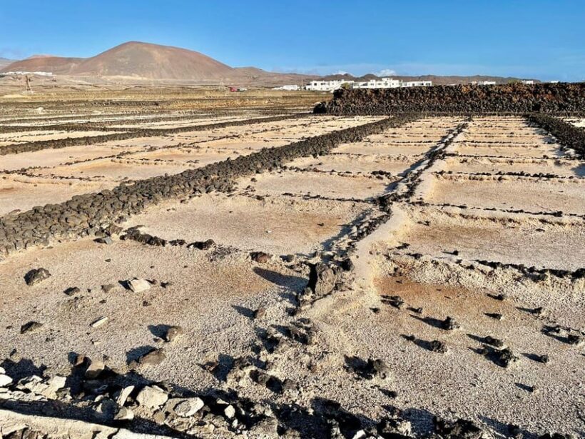 Route guided on the volcanic coast of Lanzarote. - An Overview of the Experience