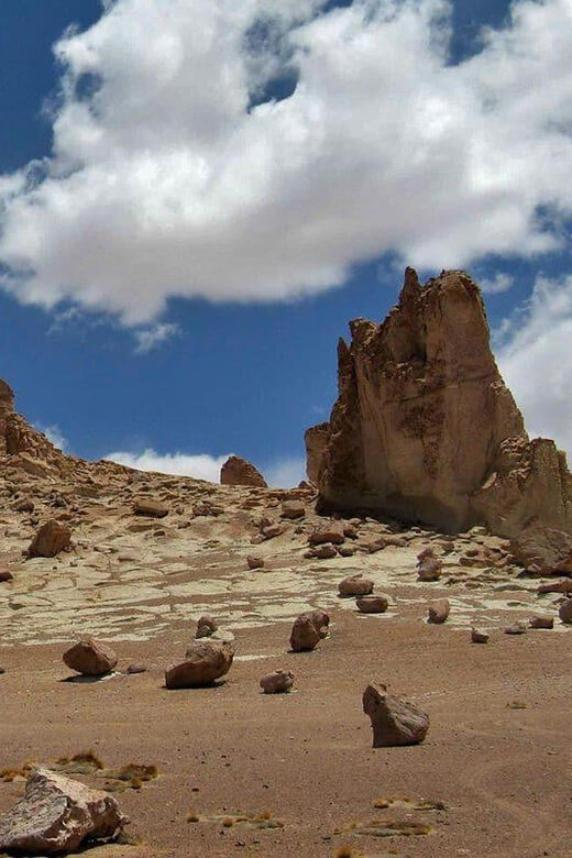 Route of the salt flats: Crossing the white desert - Who Should Consider This Tour?