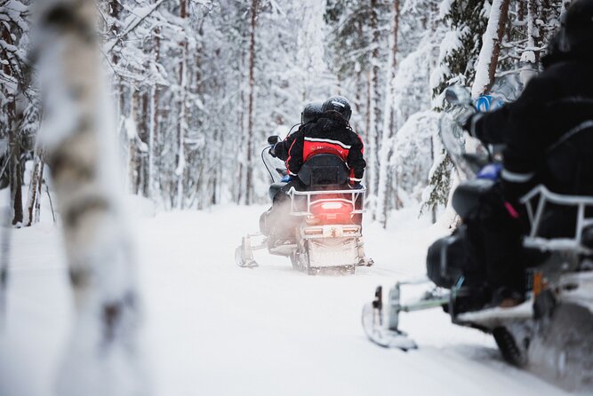 Rovaniemi 2 Days Activities Package - Santa Claus Village Exploration