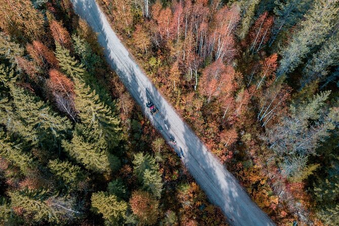 Rovaniemi: 6-10 Km Self-Driving Mushing Husky Safari Tour - Pickup and Cancellation Policies