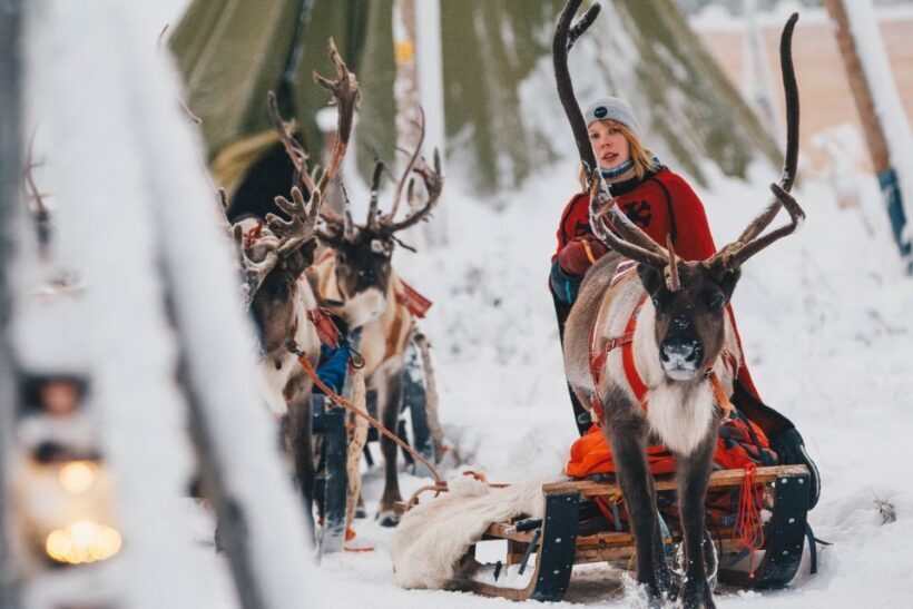 Rovaniemi: Apukka Reindeer Journey - Final Thoughts