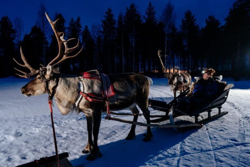 Rovaniemi: Apukka Reindeer Sleigh Ride at Night - An In-Depth Look at the Reindeer Sleigh Ride Experience