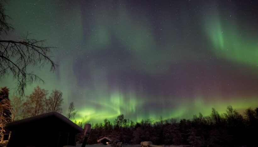 Rovaniemi: Apukka Reindeer Sleigh Ride at Night - Why the Price Reflects Good Value