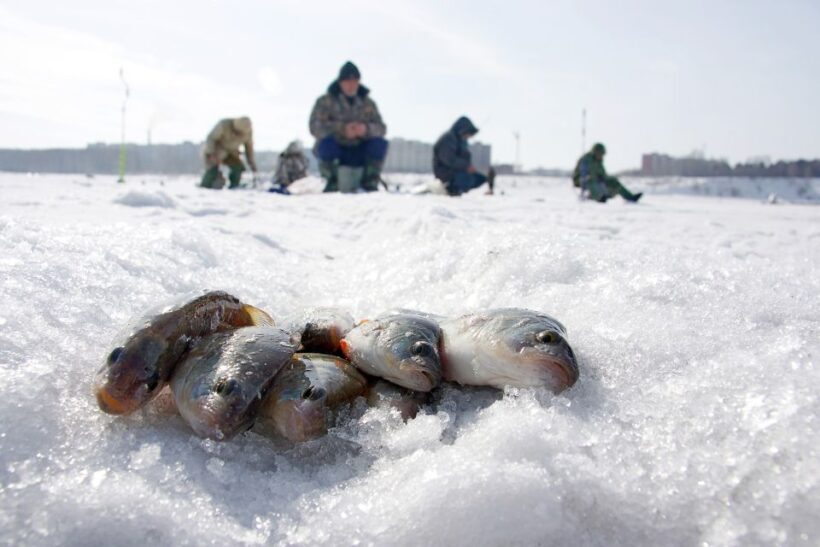 Rovaniemi: Arctic Circle Ice Fishing Experience - The Sum Up