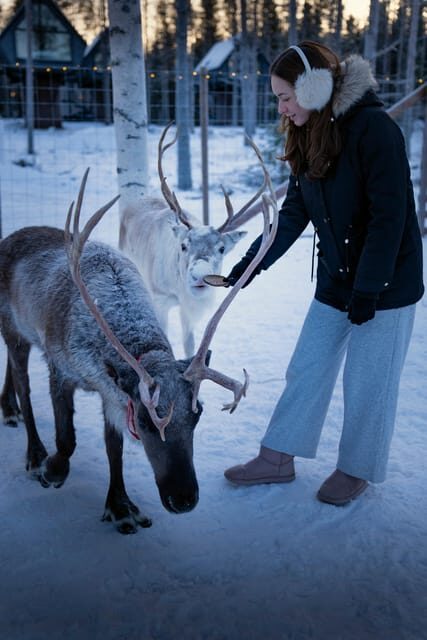 Rovaniemi: Arctic Reindeer Experience with Lunch - Key Points