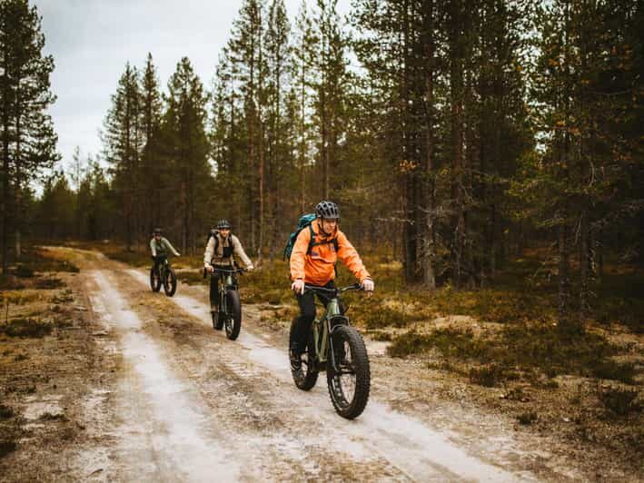 Rovaniemi: Arctic Wilderness & Forests Guided E-Bike Tour - Key Points